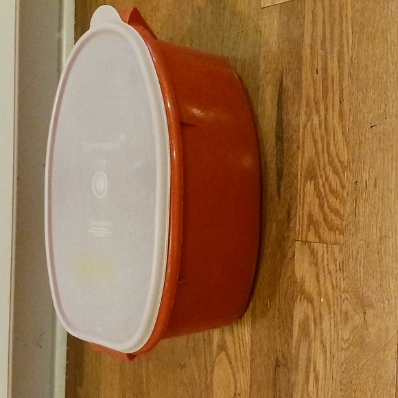 Tupperware | Kitchen | Tupperware Ham Turkey Chicken Roast Flavor Saver ...